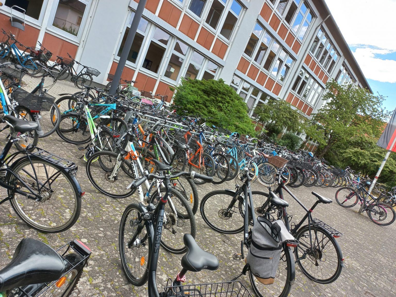 Beiträge – Lina-Hilger-Gymnasium